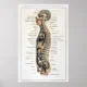 Vintage German Human Anatomy Chart | Zazzle