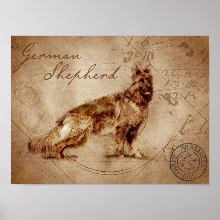 Vintage german shepherd poster | Zazzle