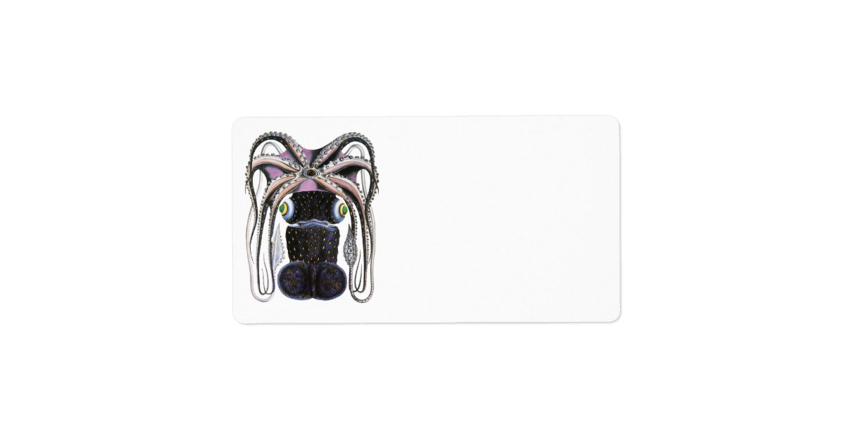 Vintage Giant Squid or Octopus, Marine Life Animal Label | Zazzle