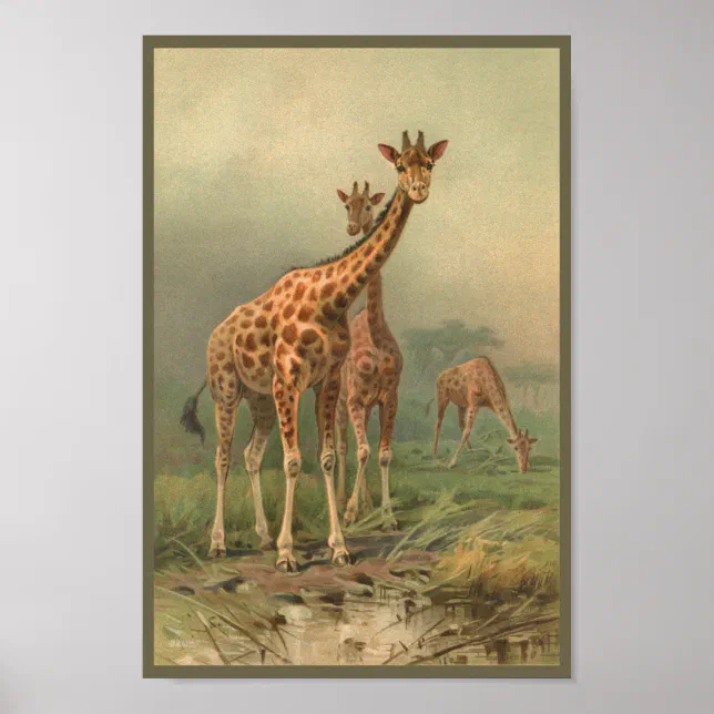 Vintage Giraffe Art Customize Print African Plains | Zazzle