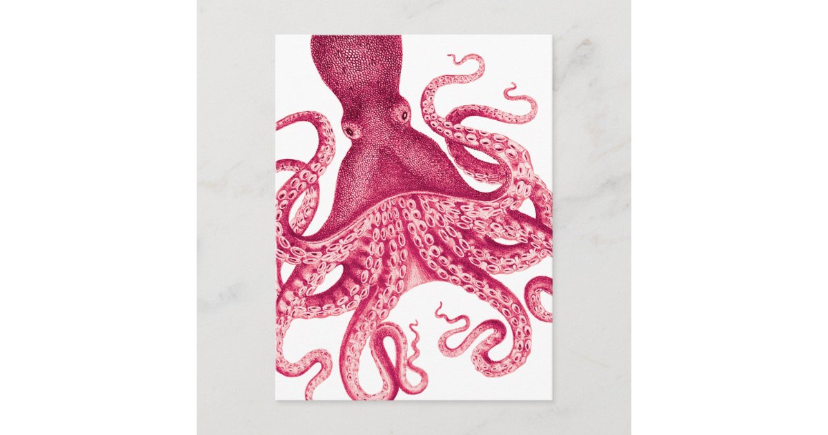 Vintage Girly Pink Octopus Illustration Postcard | Zazzle