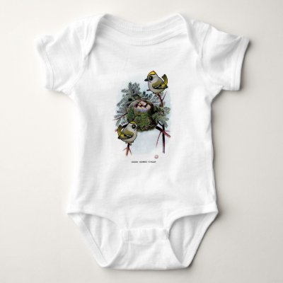 Meet the Energetic Golden-crowned Kinglet | Birdorable Birds