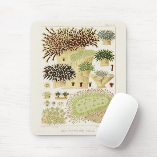 Vintage Great Barrier Reef of Australia Corals Mouse Pad | Zazzle