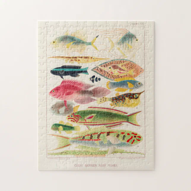 Vintage Great Barrier Reef of Australia Fishes Jigsaw Puzzle | Zazzle