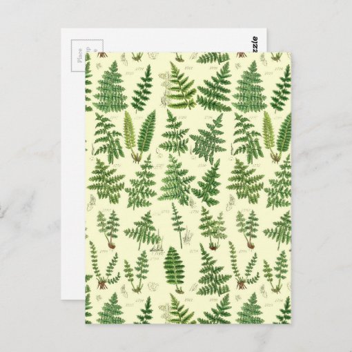 Vintage Green Leafy Plants Postcard | Zazzle