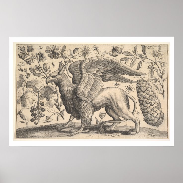 Vintage Griffin Greek Mythology Botany Poster | Zazzle