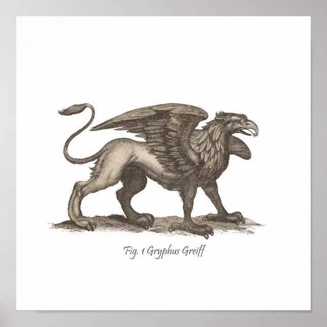 Vintage griffin (gryphus greiff) illustration. poster | Zazzle
