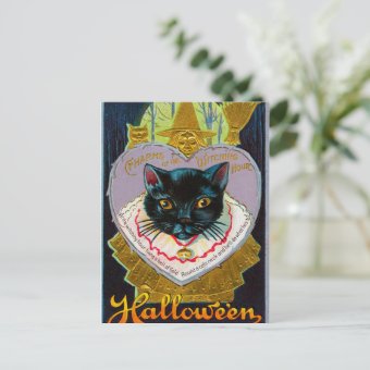 Vintage Halloween witch moon cat postcard | Zazzle