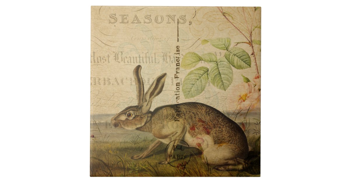 Vintage Hare Animal Illustration Floral Collage Ceramic Tile | Zazzle
