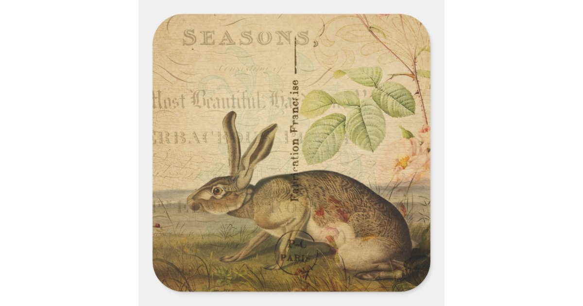 Vintage Hare Animal Illustration Floral Collage Square Sticker | Zazzle