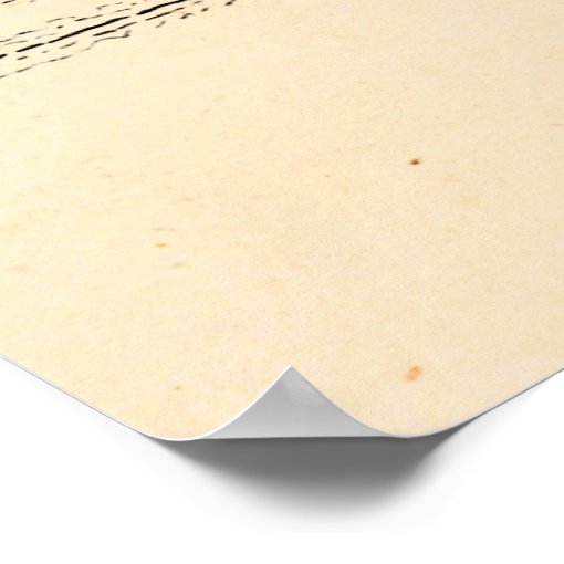 Vintage Hare Bunny Rabbit 1800s Illustration Poster | Zazzle