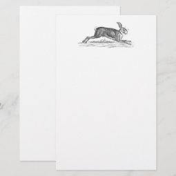 Vintage Hare Bunny Rabbit 1800s Illustration Stationery | Zazzle