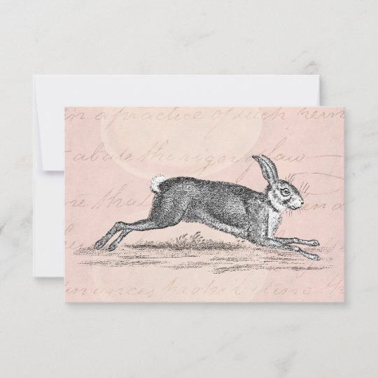 Vintage Hare Bunny Rabbit Illustration - Rabbits | Zazzle.com