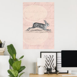 Vintage Hare Bunny Rabbit Illustration - Rabbits Poster | Zazzle