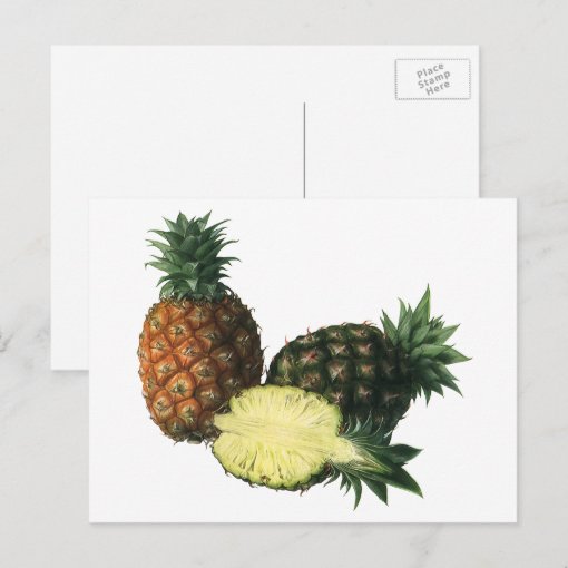 Vintage Hawaiian Pineapples, Organic Food Fruit Postcard | Zazzle