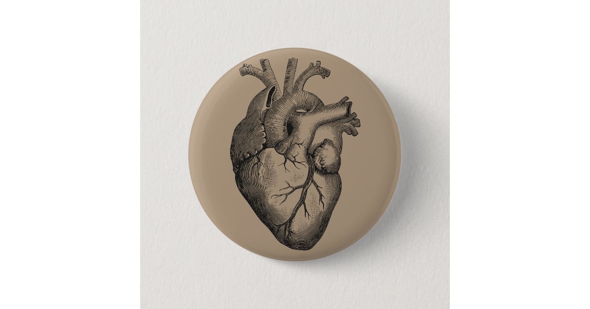 Vintage Heart Illustration Pinback Button | Zazzle