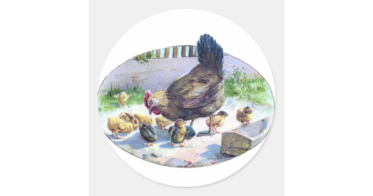 Vintage Hen and Chicks Classic Round Sticker | Zazzle