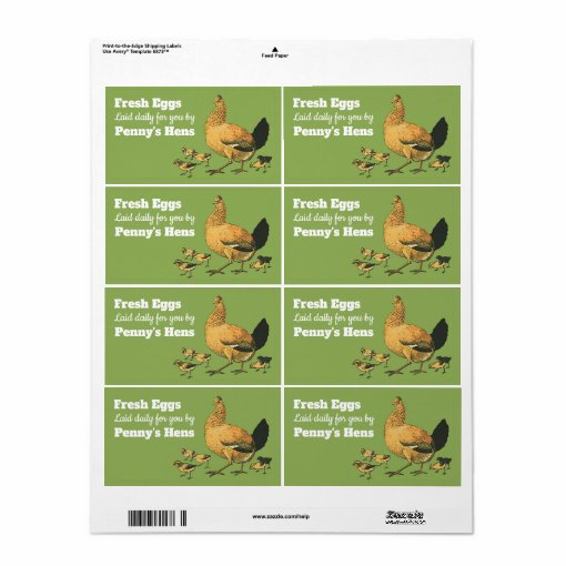 Vintage Hen and Chicks Fresh Eggs Carton Label | Zazzle