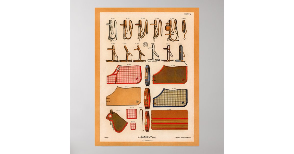 Vintage Horse Tack Poster | Zazzle