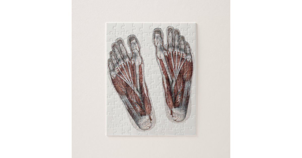 Vintage Human Anatomy Footprint Podiatry Feet Jigsaw Puzzle | Zazzle