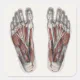 Vintage Human Anatomy Footprint Podiatry Feet Square Sticker | Zazzle