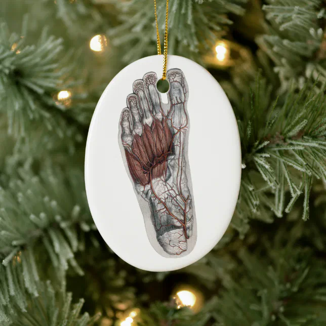 Vintage Human Anatomy Footprint Podiatry Foot Ceramic Ornament | Zazzle
