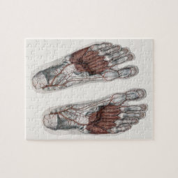 Vintage Human Anatomy Footprint Podiatry Foot Jigsaw Puzzle | Zazzle