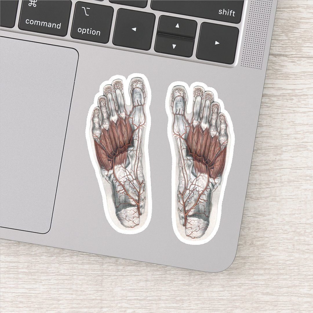 Vintage Human Anatomy Footprint Podiatry Foot Sticker | Zazzle