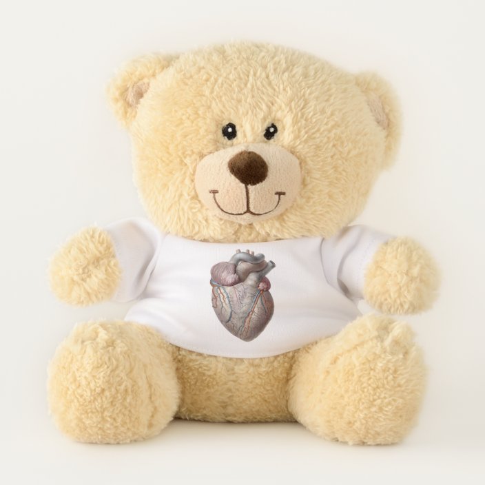 Vintage Human Anatomy Heart Organs Healthy Teddy Bear | Zazzle.com