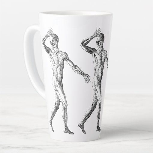Vintage Human Anatomy, Male Body Muscles Latte Mug | Zazzle