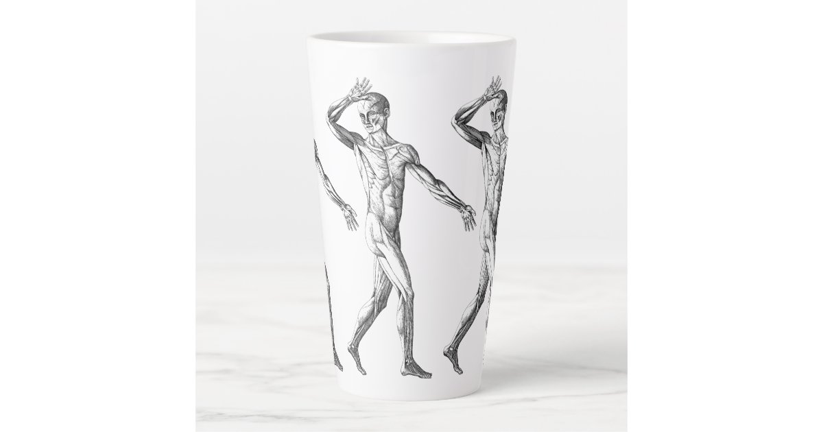 Vintage Human Anatomy, Male Body Muscles Latte Mug | Zazzle