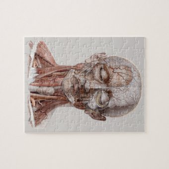 Vintage Human Anatomy Science, Head Throat Nose Jigsaw Puzzle | Zazzle