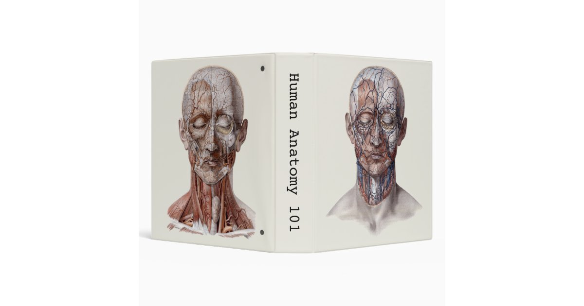 Vintage Human Anatomy Science Heads 3 Ring Binder | Zazzle