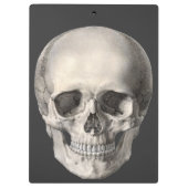 Vintage Human Anatomy Skull, Halloween Skeleton Clipboard | Zazzle