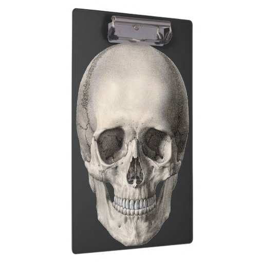 Vintage Human Anatomy Skull, Halloween Skeleton Clipboard | Zazzle