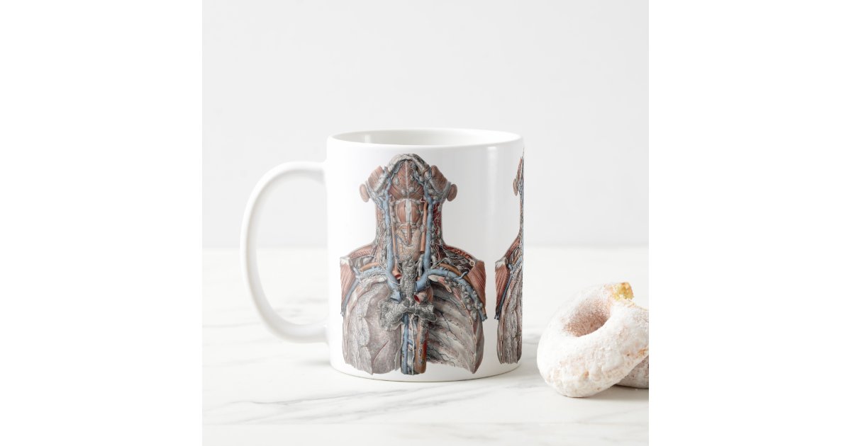 Vintage Human Anatomy Throat, Neck, Chest, Ribs Coffee Mug | Zazzle