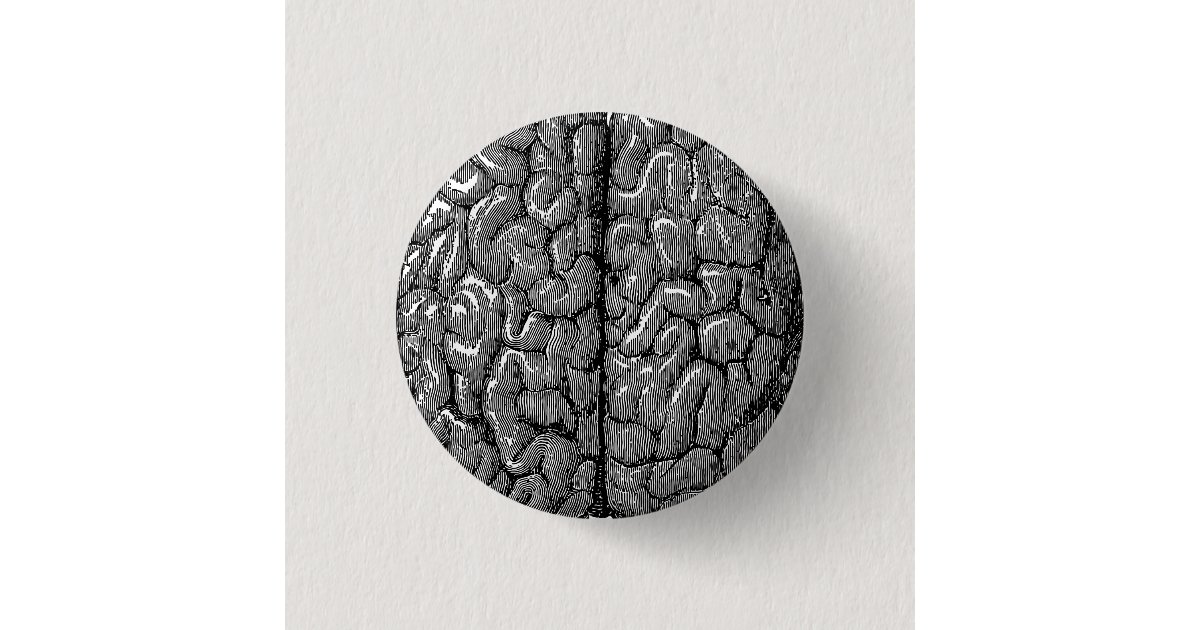 Vintage Human Brain Illustration Button | Zazzle