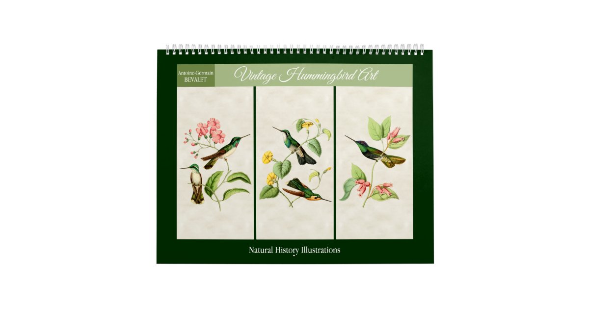 Vintage Hummingbird Art 2026 Calendar | Zazzle