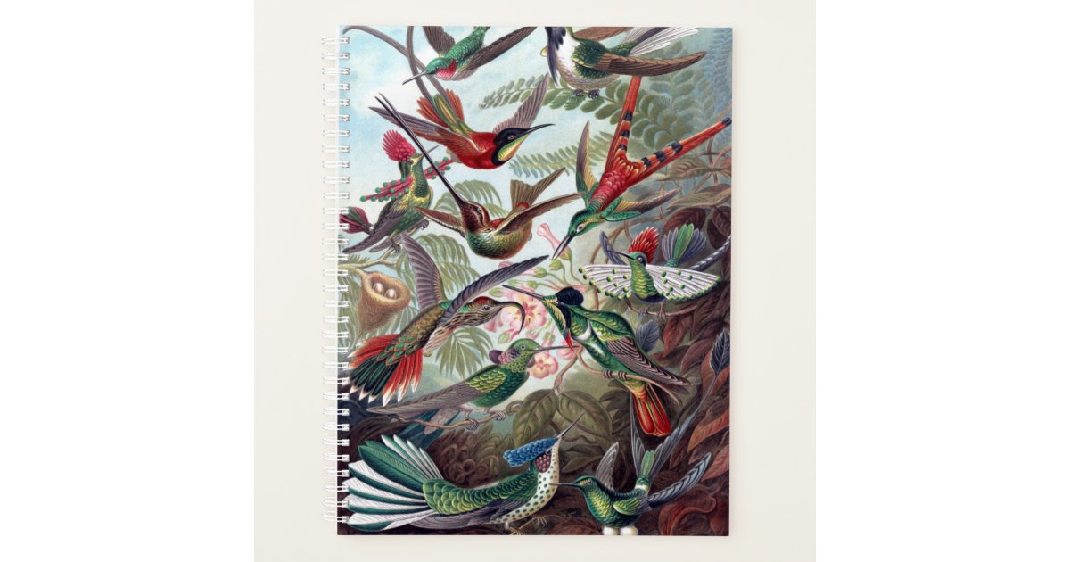 Vintage Hummingbirds Planner | Zazzle