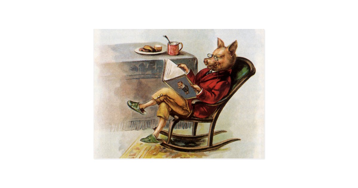 Vintage Humor, Pig in Rocking Chair Reading a Book Postcard | Zazzle.com
