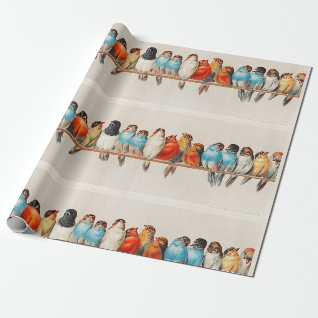 Vintage Illustrated Birds Wrapping Paper | Zazzle