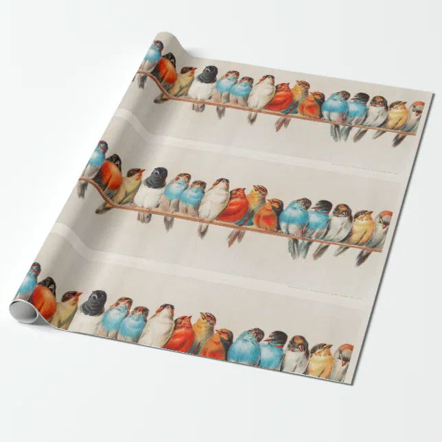 Vintage Illustrated Birds Wrapping Paper | Zazzle