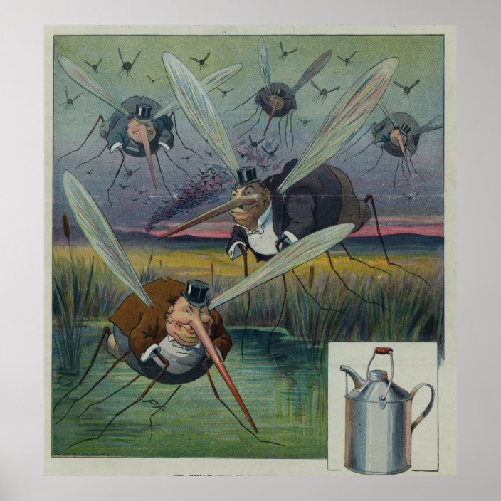 Vintage Illustration of Attacking Mosquitoes Poster | Zazzle