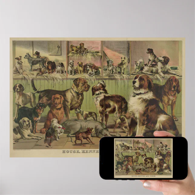 Vintage Illustration of Various Dog Breeds (1893) Poster | Zazzle