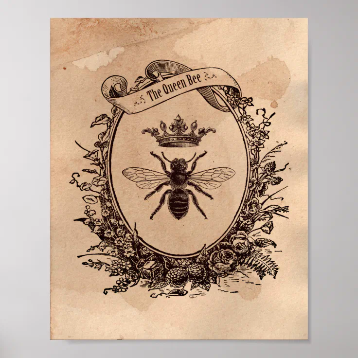 Vintage image Queen Bee Honeybee Tea Stained Paper Poster | Zazzle