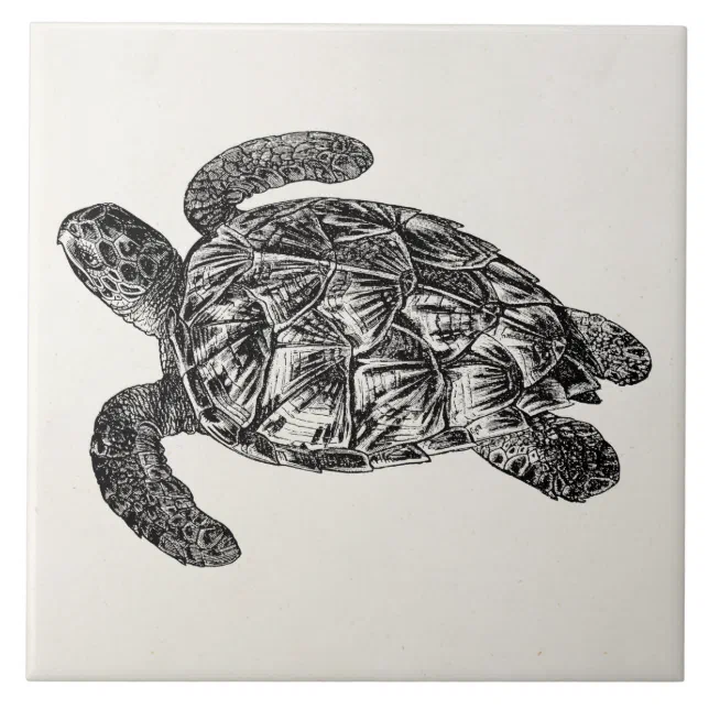 Vintage Imbricated Sea Turtle - Turtles Template Ceramic Tile | Zazzle