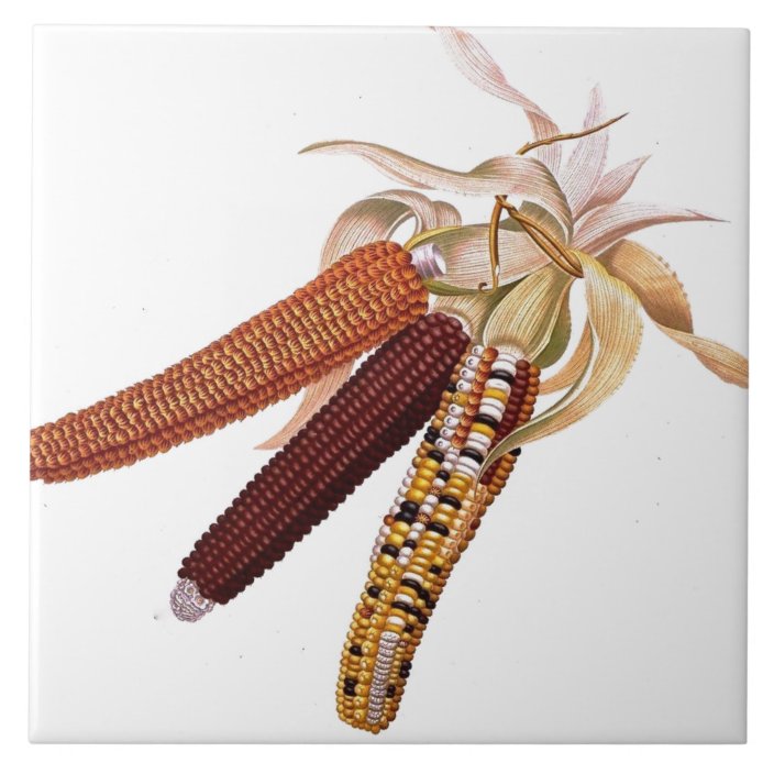 Vintage Indian Corn Tile | Zazzle.com