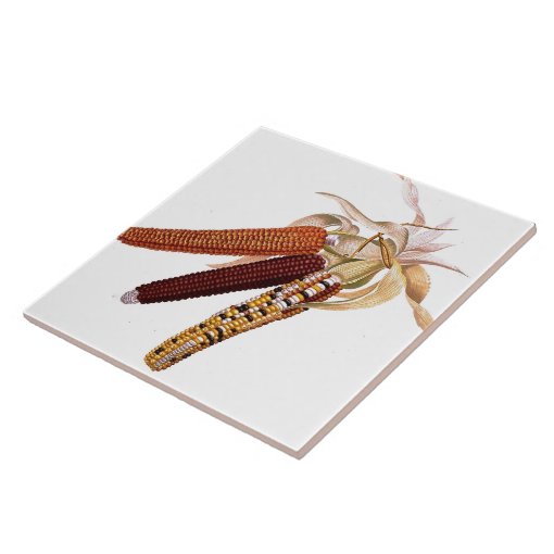 Vintage Indian Corn Tile | Zazzle