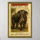 Vintage Indian Elephant Natural History Print | Zazzle