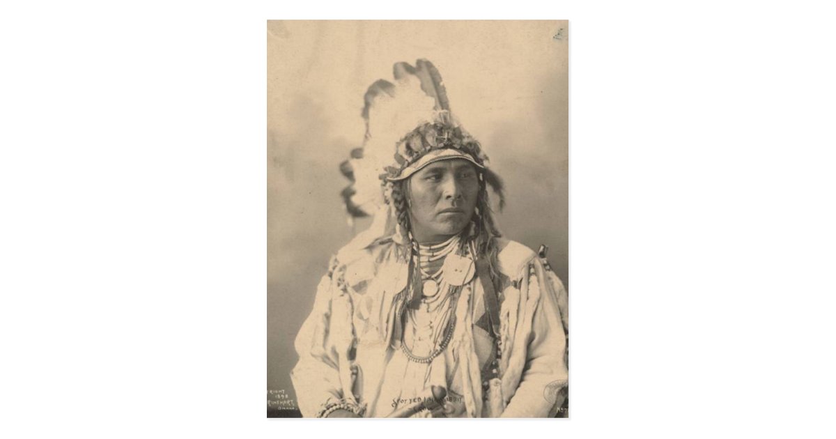 Vintage indian : Spotted Jack Rabbit, Crow - Postcard | Zazzle.com